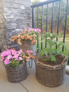 DIY Wicker Planters