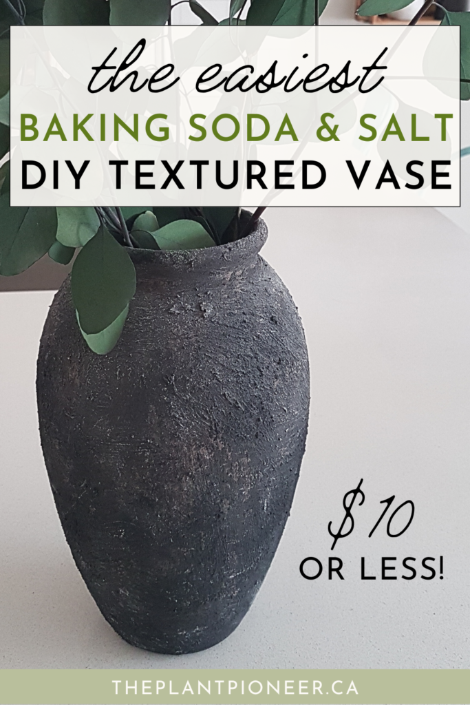 DIY: Turn an Outdated Vase into Old-World Pottery – The Plant Pioneer