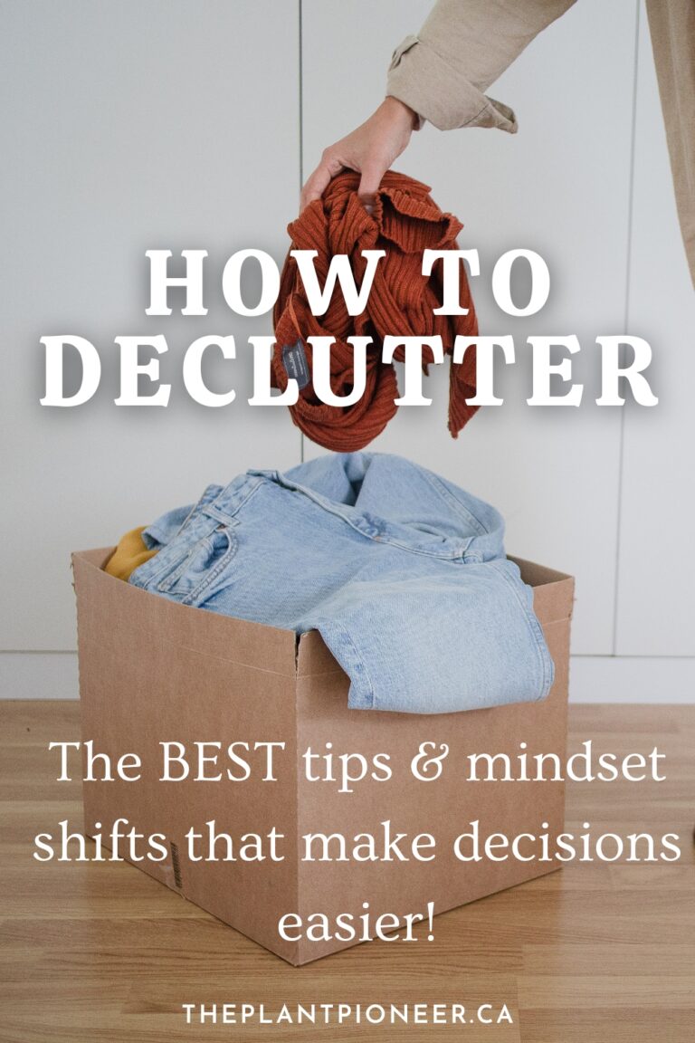Life-Changing Decluttering Tips For a Stress-Free Home – The Plant Pioneer