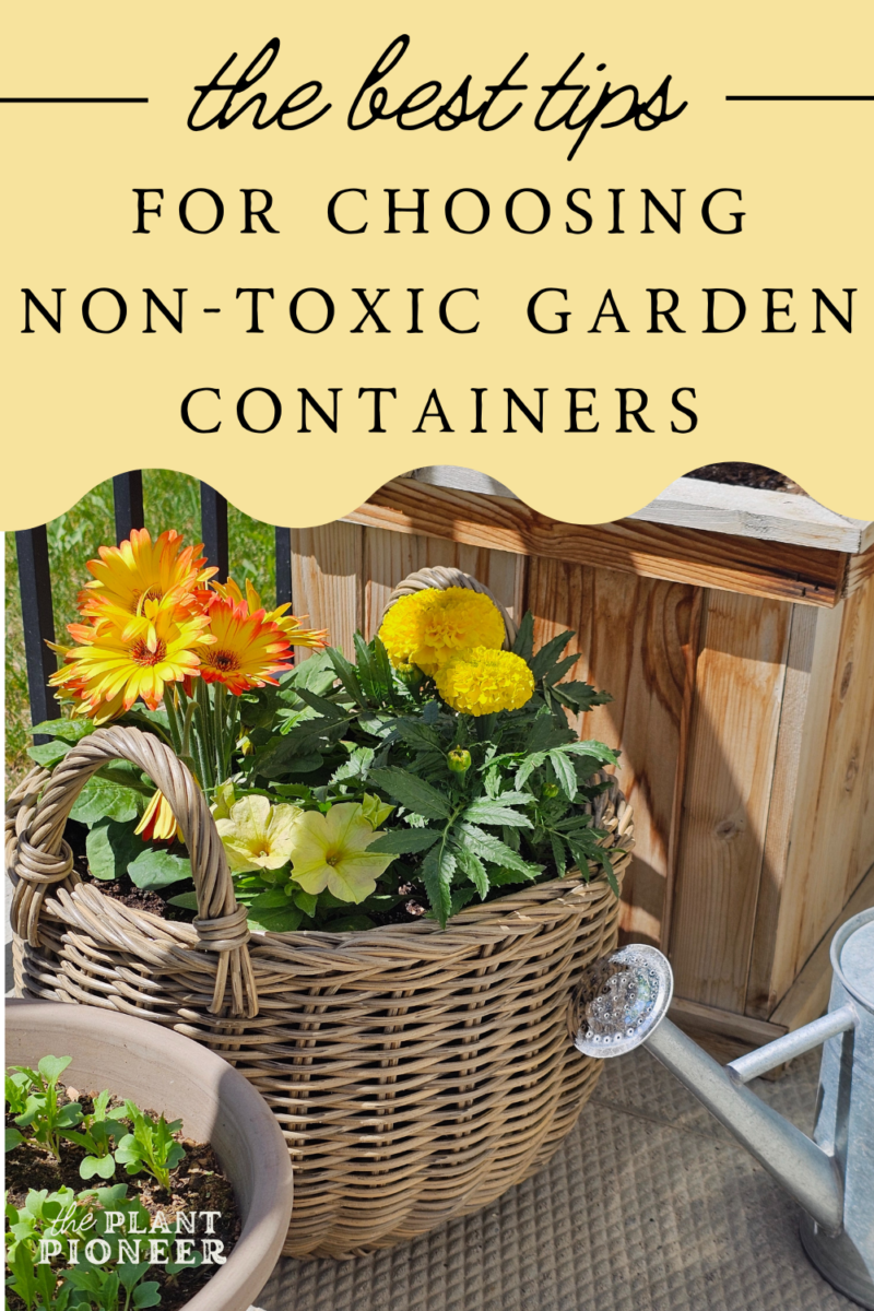 How to Choose Non-Toxic Garden Planters for an Organic Container Garden ...
