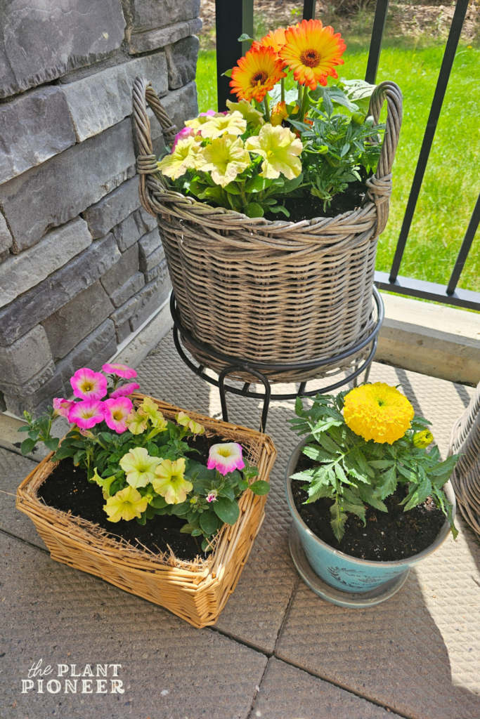 How to Choose Non-Toxic Garden Planters for an Organic Container Garden ...